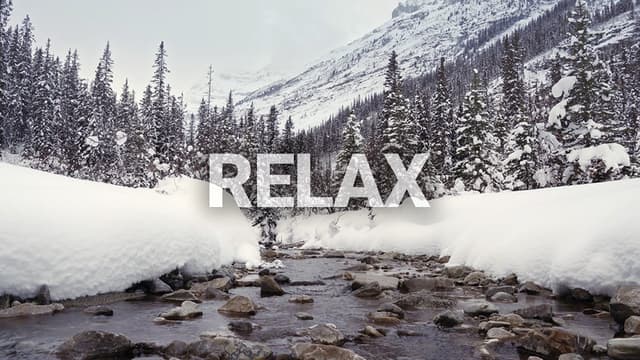 1 Hour ASMR - Crunchy & Soft Things vs Car | Running Over Stuff With Car