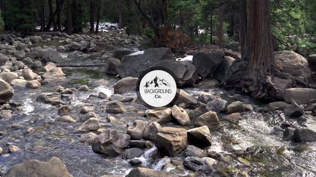 The Best Nature Sound Videos on YouTube