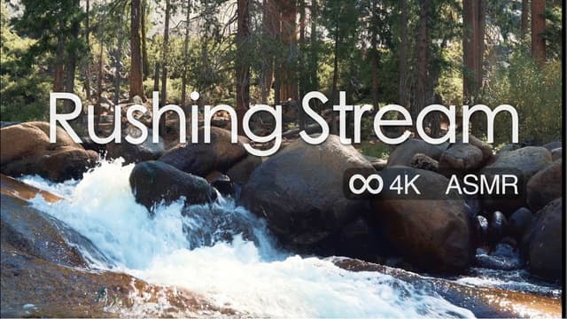 The Best Nature Sound Videos on YouTube